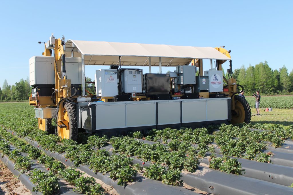 Automating the Harvest, One Strawberry at a Time